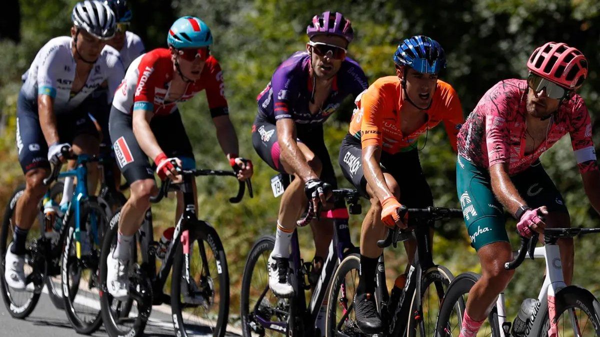 Día Nacional del Ciclista: por qué se celebra cada 5 de diciembre