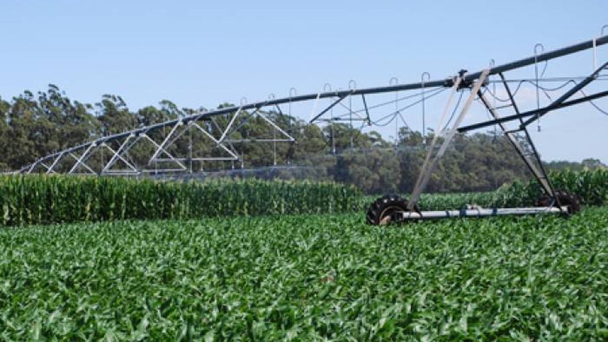 Invertirán más de 56 mil millones de pesos en obras de riego