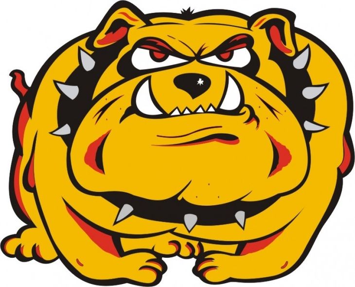 Un bulldog en Ecuador