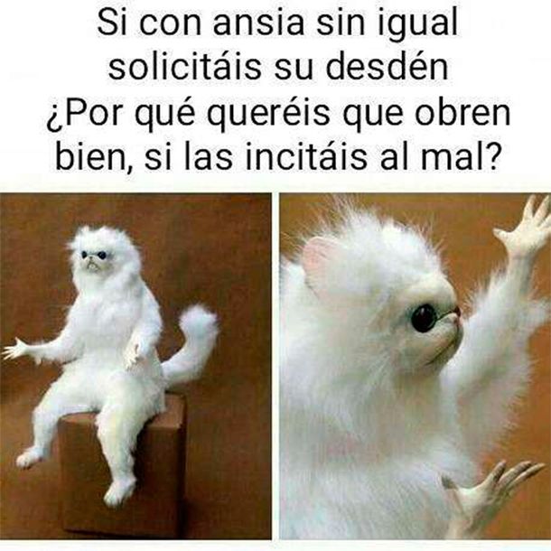 Alumnos del secundario usaron memes para interpretar un poema de ...