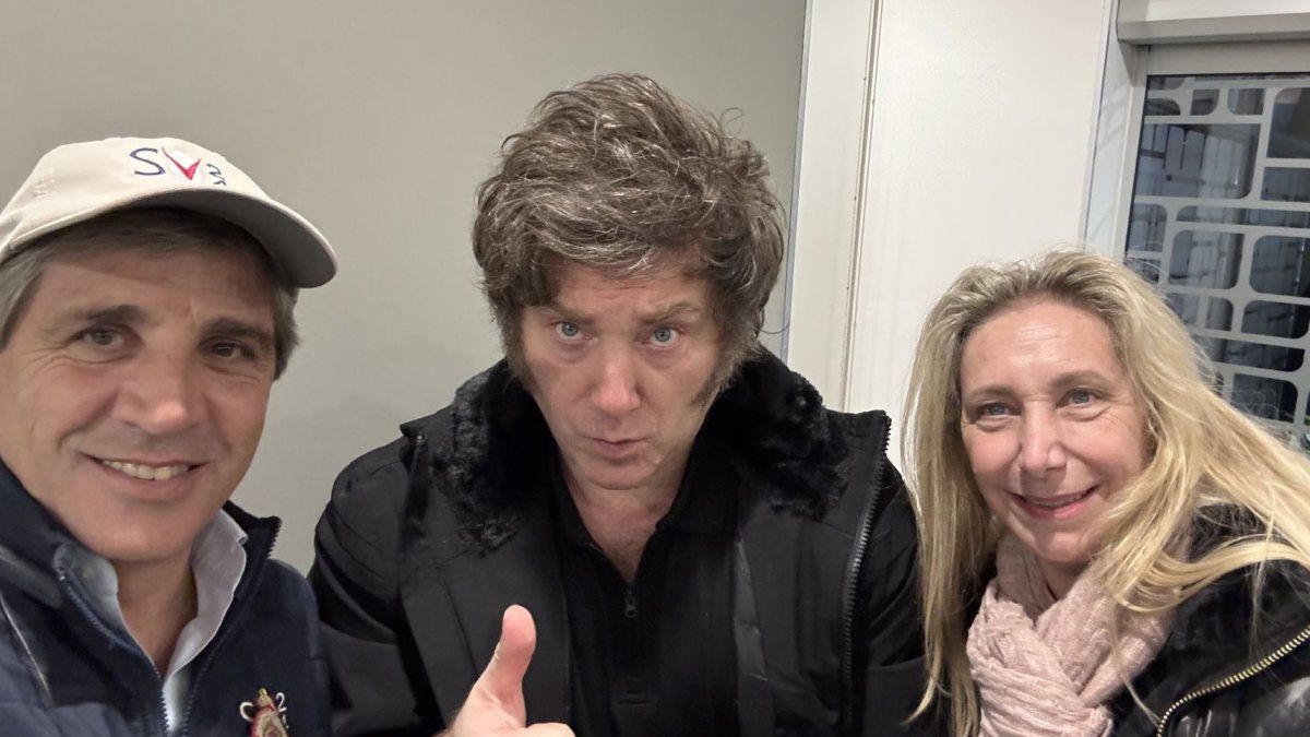 Así es el Bear Market: la insólita postura del Gobierno ante el lunes negro