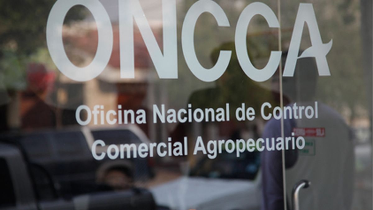 ¿Qué era la ONCCA?