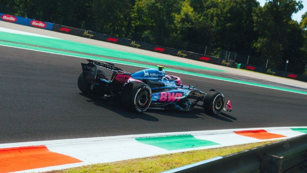 Franco Colapinto en el Gran Premio de Italia en vivo: minuto a minuto