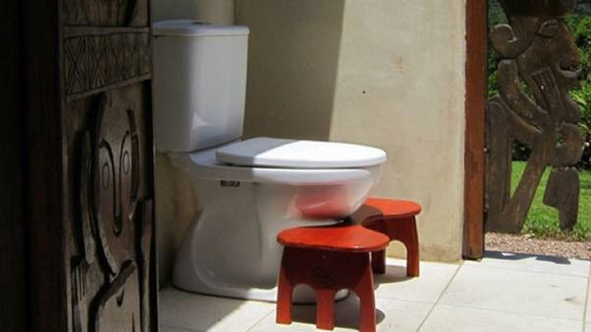 ¿Cuál es la mejor forma de usar el inodoro?