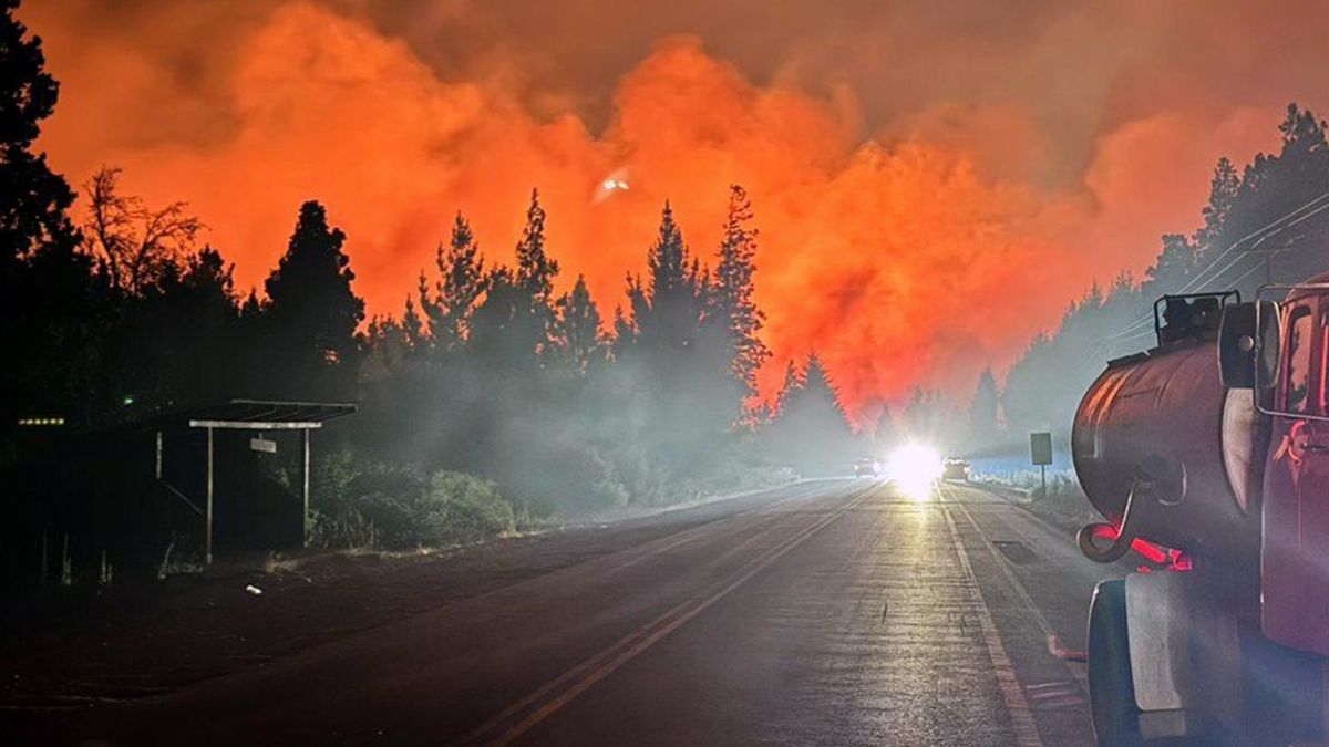 INCENDIOS SIN CONTROL en EL BOLSÓN: "Se está QUEMANDO TODO", alertó el intendente
