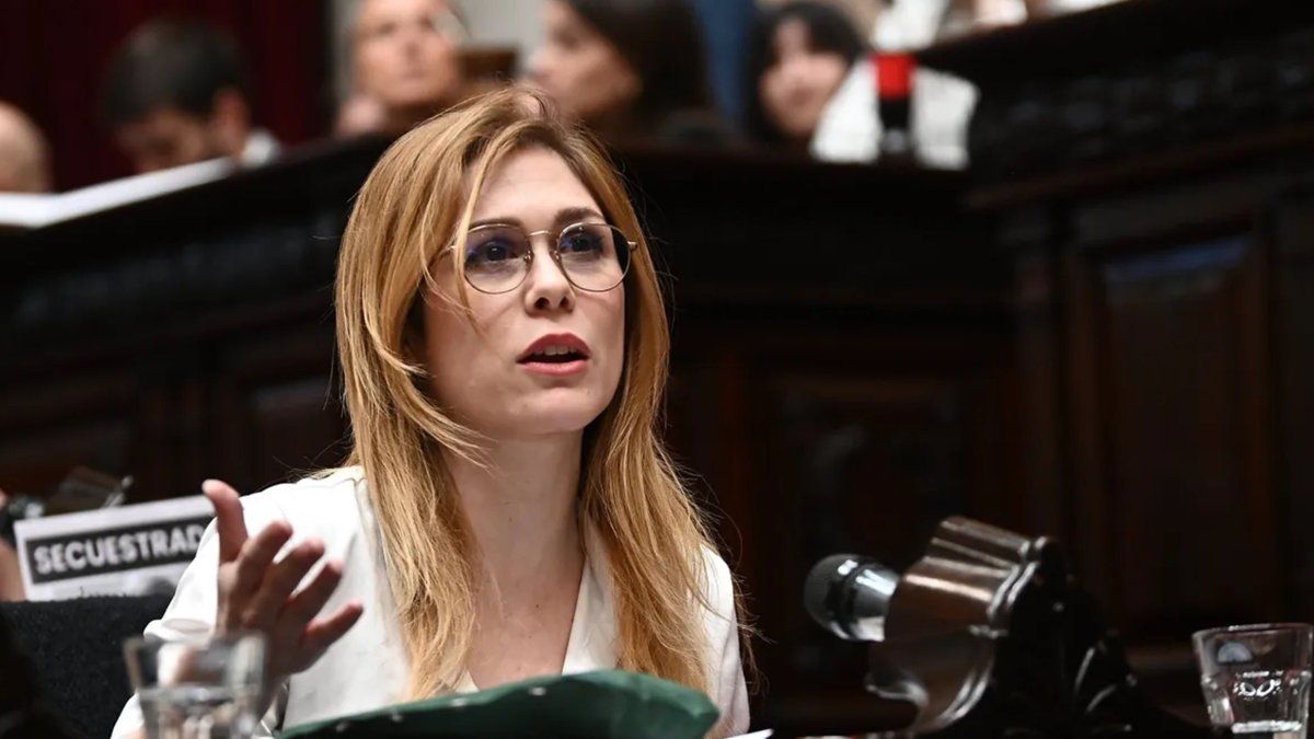 Lilia Lemoine presentó su primer proyecto en Diputados: de qué se trata la polémica norma