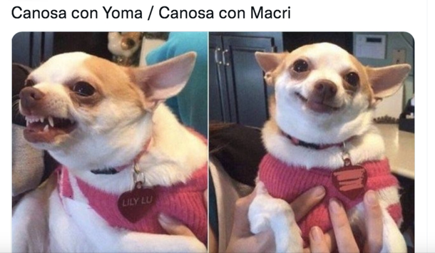 Los mejores memes de Viviana Canosa echando a Yoma