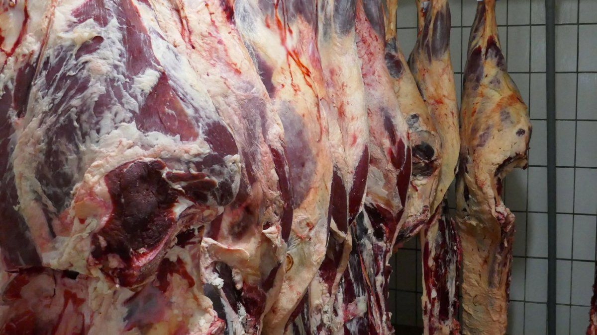 Un mayorista de carne de Esteban Echeverría vende medias reses para ...