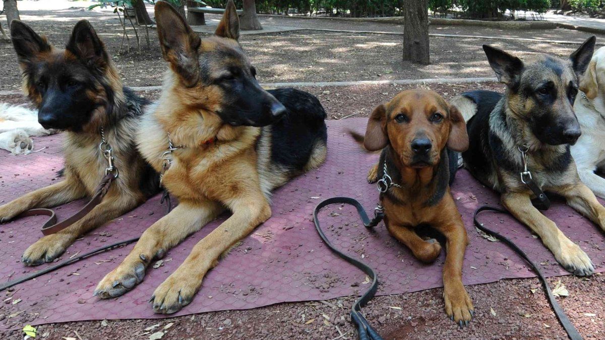 Avenida Rivadavia - Minutouno.com