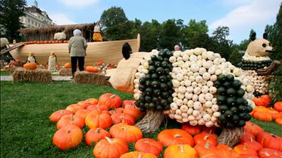 La calabaza es un animal
