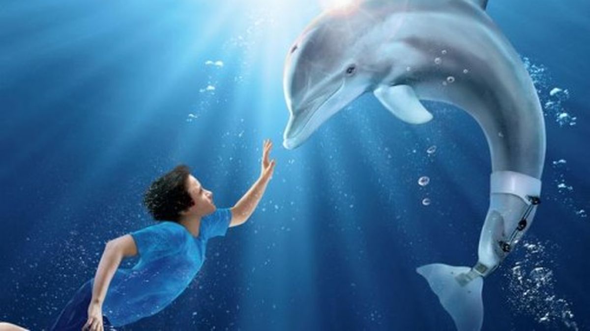 Un delfín sin cola y con moraleja