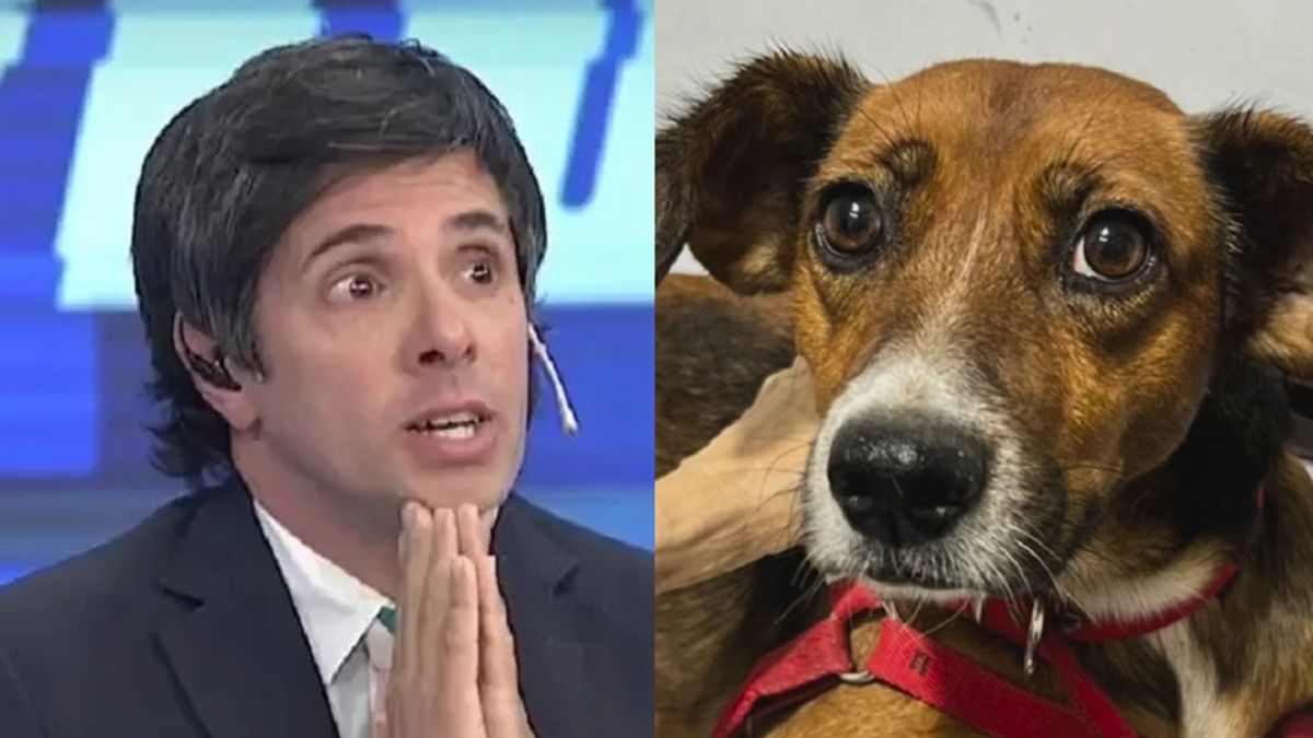 Robertito Funes Ugarte adoptó a una perra en medio de un móvil ...