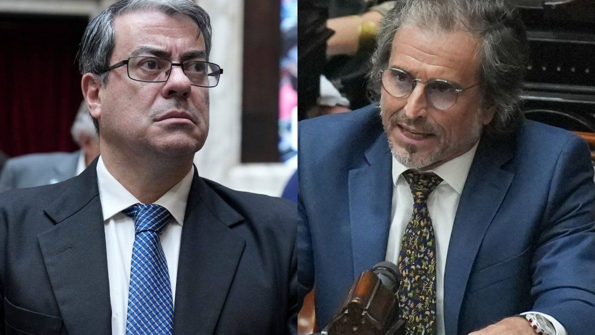 Germán Martínez destrozó a Bertie Benegas Lynch en la sesión por el ...