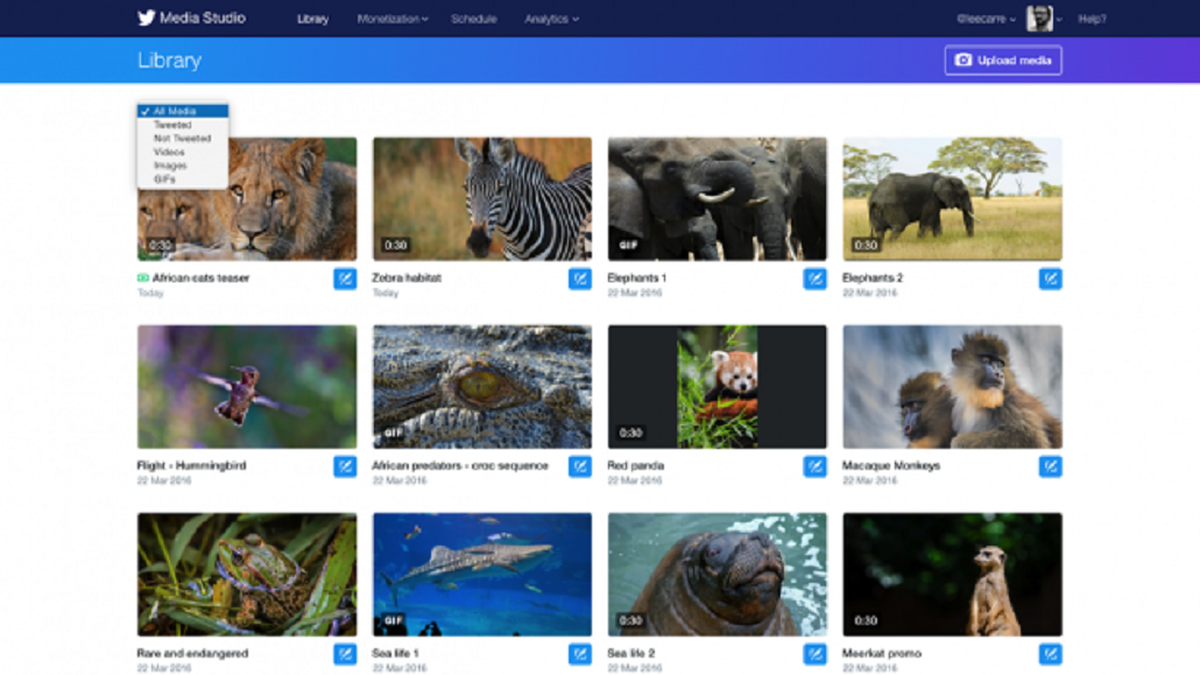 Twitter lanzó Media Studio, una herramienta para gestionar contenidos ...