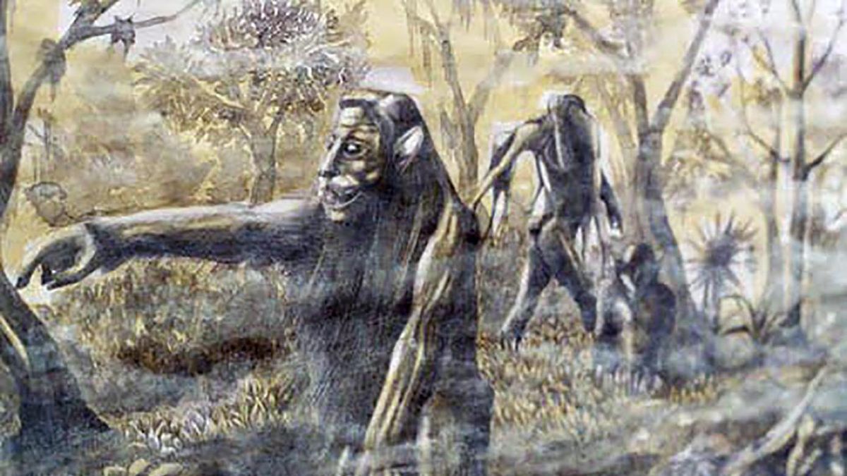Qué es el Ucumar, la criatura mitológica que aseguran haber visto en Salta