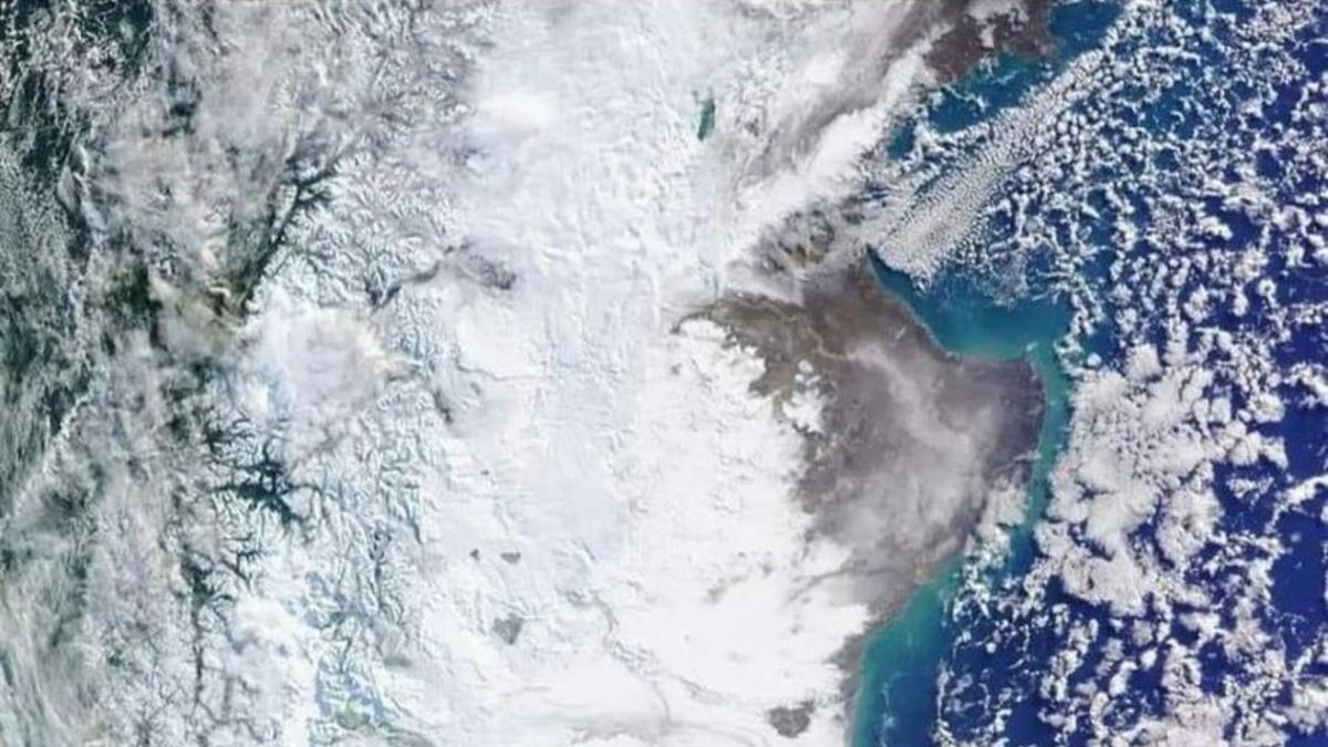 Ola de frío: la impactante imagen satelital de la Patagonia cubierta de ...