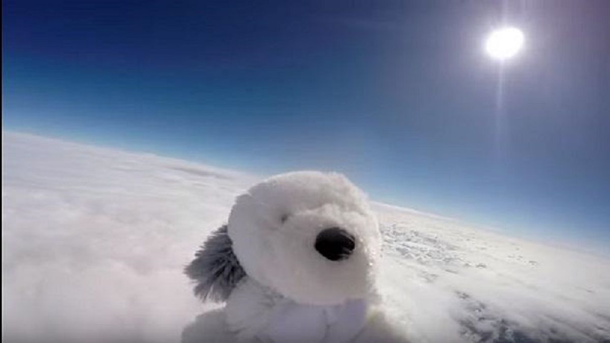 Conoce a Sam, el perrito de peluche que llegó a la estratósfera