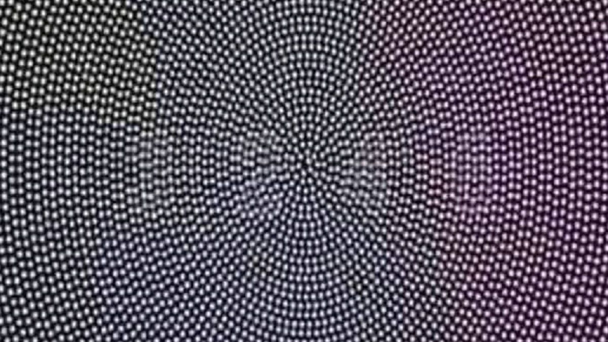 La imagen viral que te permite saber si tenés problemas visuales