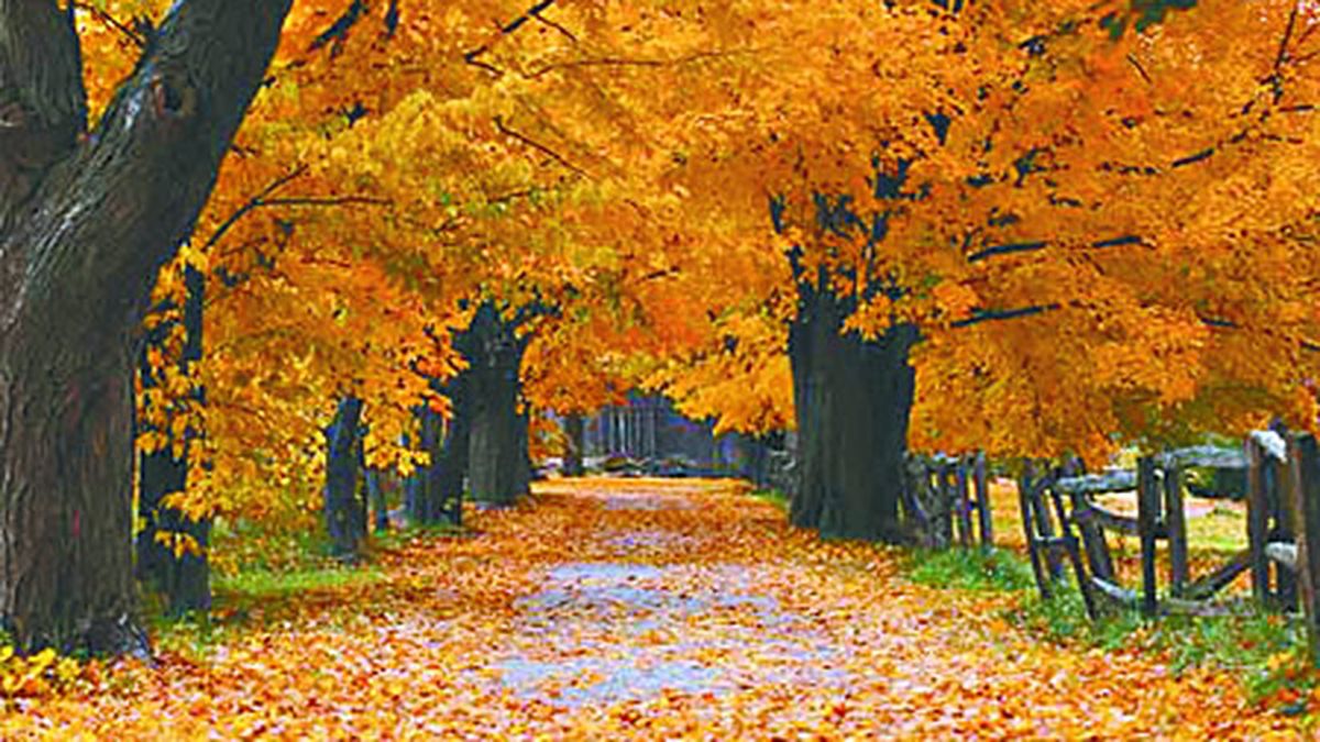 ¿Por qué el otoño comenzó hoy y no mañana, que es 21?