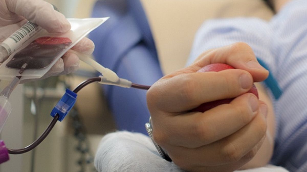 Turnos online: el nuevo esquema para la donación voluntaria de sangre