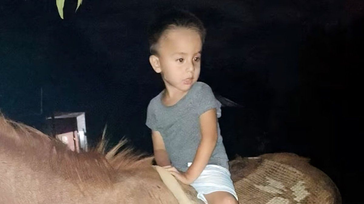 Caso Loan Danilo Peña: hacen una nueva Cámara Gesell para que declare ...