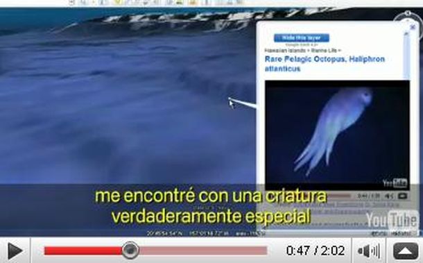 Ahora, el océano también aparece en el mapa: se estrena el Google Ocean