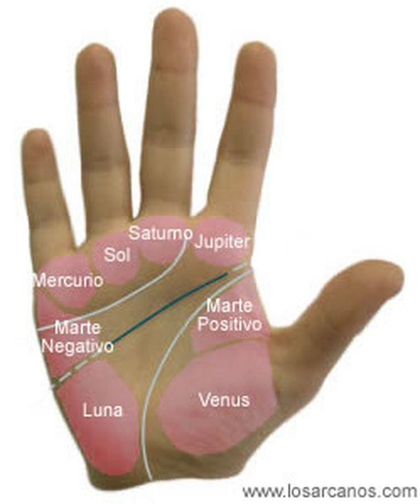 Cómo leer tus propias manos