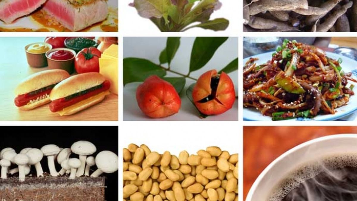 Antes de comer, conocé los diez platos más peligrosos del mundo