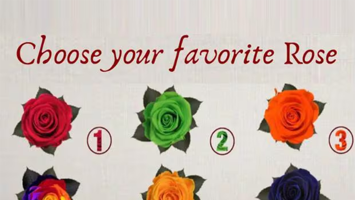 Test viral: descubrí cómo sos realmente según la rosa que elijas Test viral: descubrí cómo sos realmente según la rosa que elijas