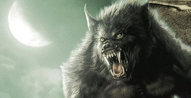 Pánico en Misiones: vecinos aseguran haber visto a un lobisón