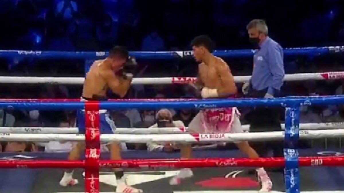 Boxeo: el nocaut del argentino Rosa al brasileño Galdino