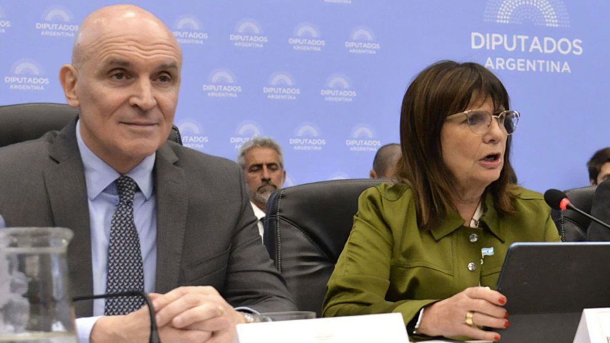 Patricia Bullrich volvió a presionar a José Luis Espert: Tiene que ser ...