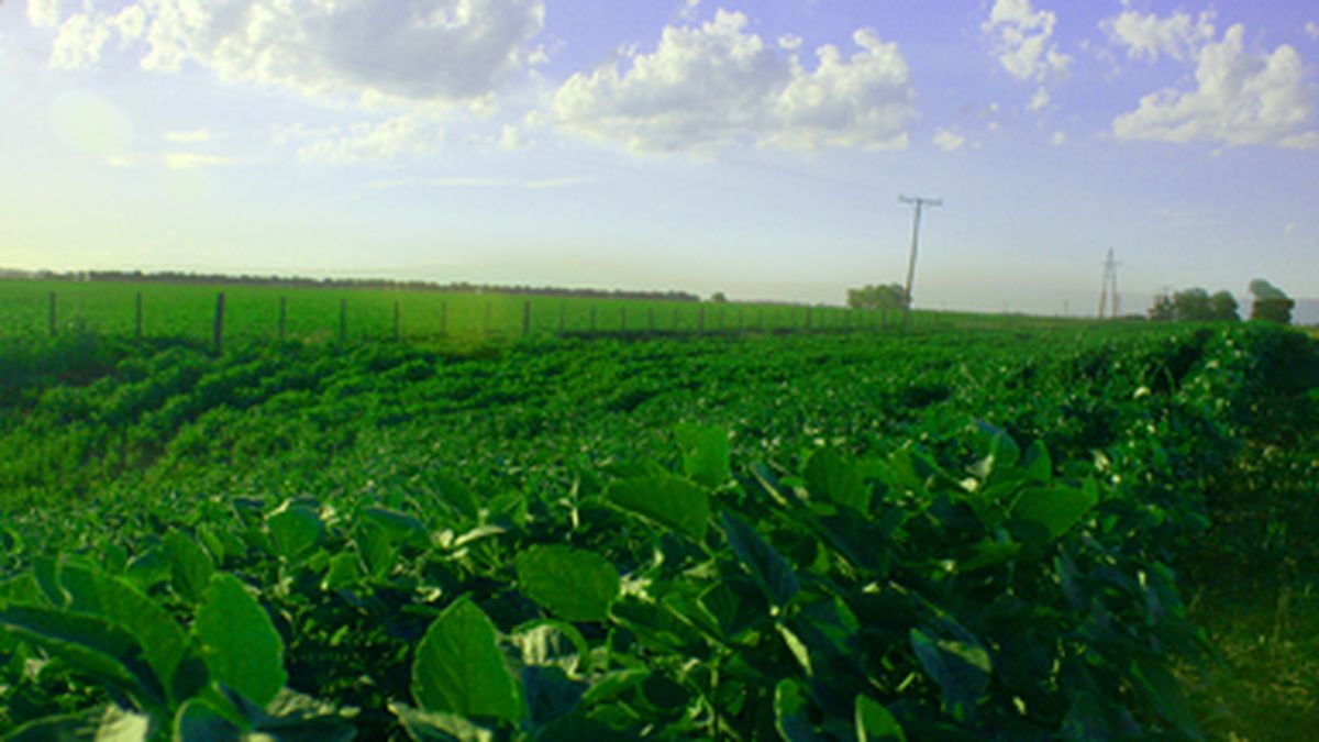 ¿Qué es un pool de siembra, el malo de la película para Cristina?