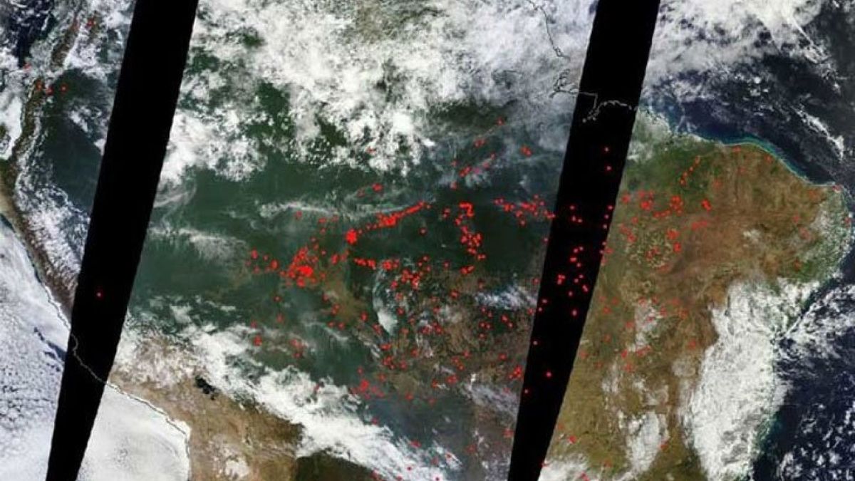 En vivo: el mapa del catastrófico incendio en el Amazonas