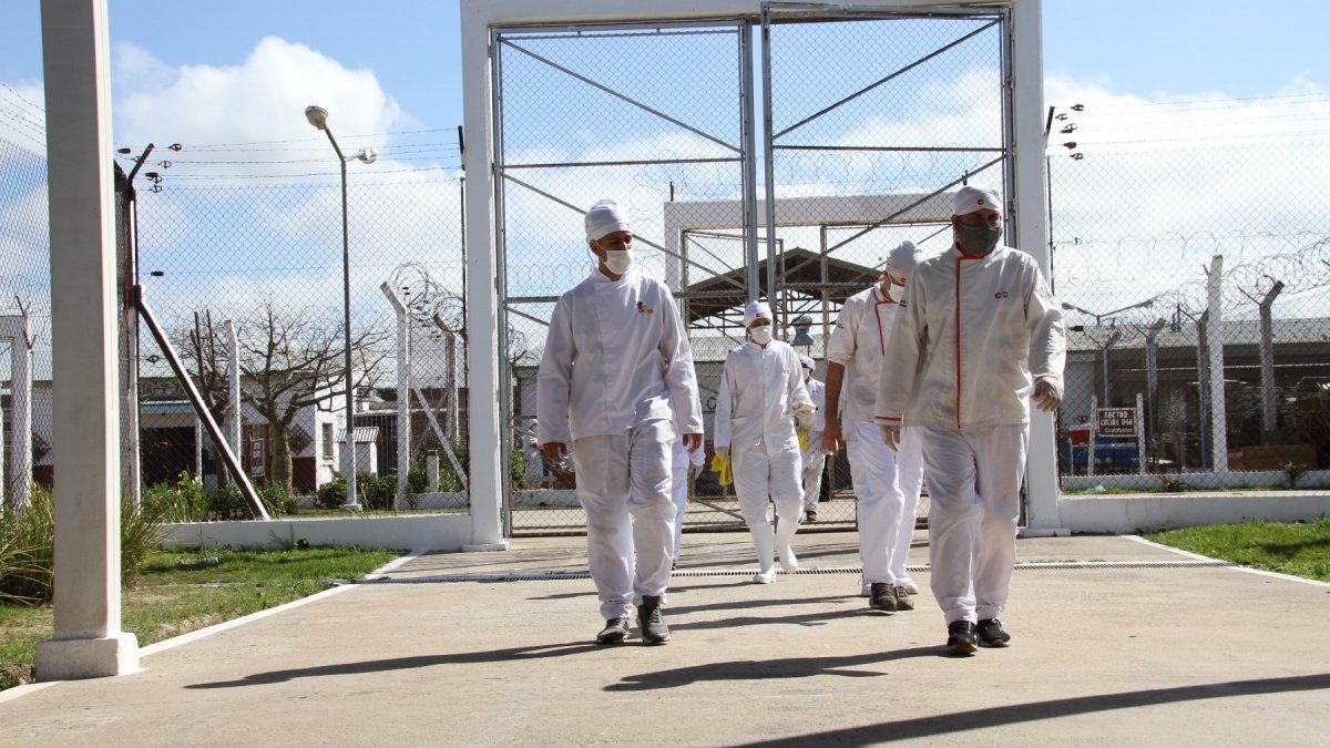 Qué es Cook Master, la empresa que apuesta a la reinserción social de ...