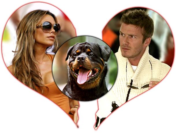 *David Beckham (futbolista)