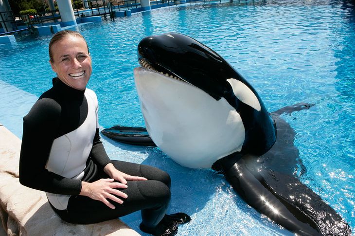 Murió Tilikum, la orca que mató a su entrenadora