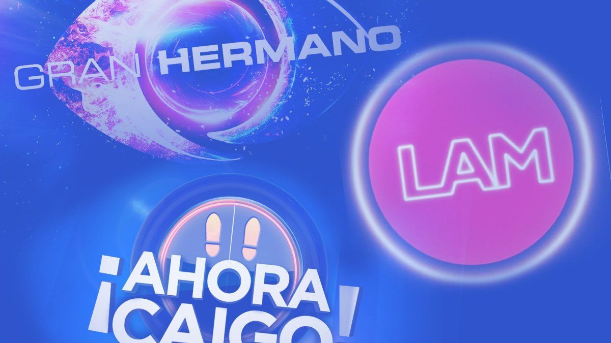 Rating: así midieron Gran Hermano, Ahora Caigo y LAM en la noche del lunes