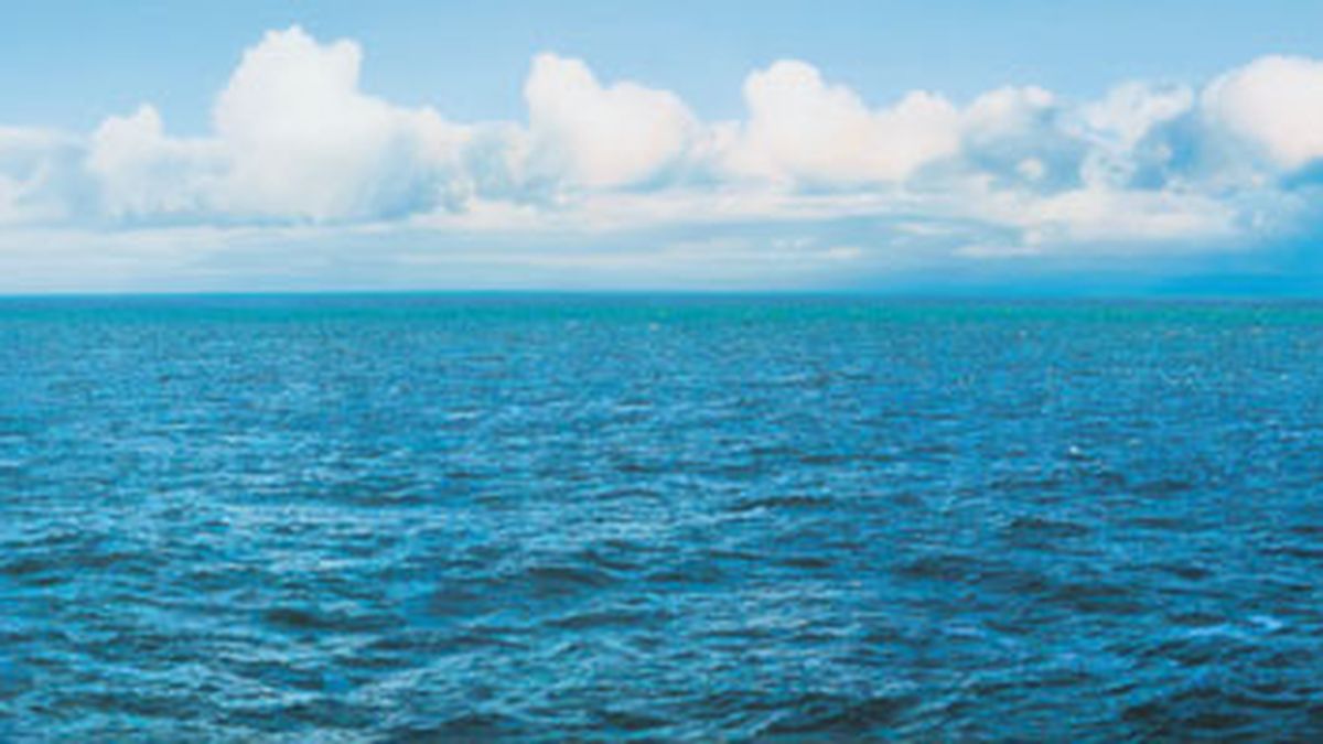 Helmut Ditsch se convierte en el artista argentino más cotizado